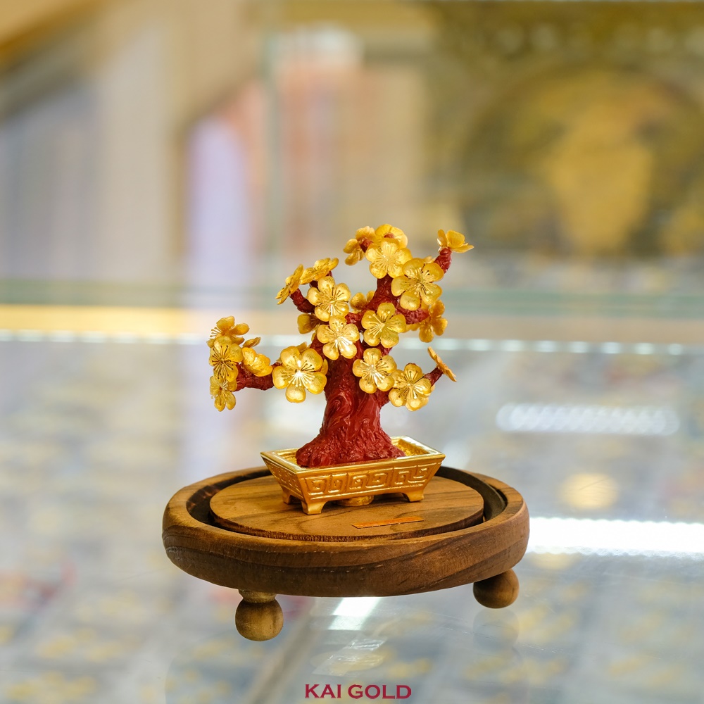 Điểm danh các loại cây phong thủy dát vàng đem đến thịnh vượng cho gia chủ